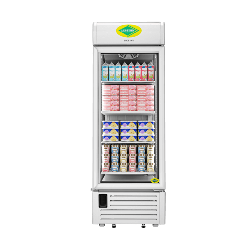 Western Vertical Freezers | From 300 - 900 Ltrs | Display Freezer For Shop