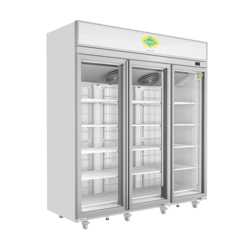 Western Vertical Freezers | From 300 - 900 Ltrs | Display Freezer For Shop