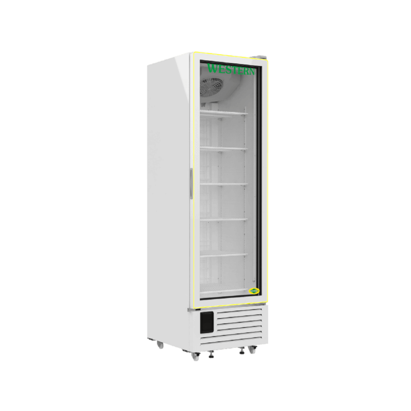 Western Vertical Freezers | From 300 - 900 Ltrs | Display Freezer For Shop
